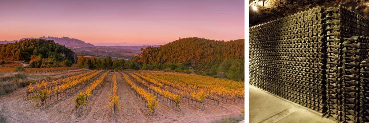 Must-Try Foodie Experiences in Spain