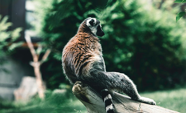 Build Your Own 3-Day Itinerary in Calgary | AMA Travel