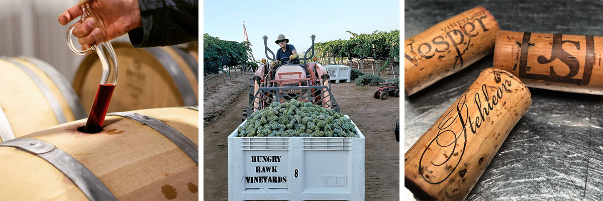 Your Guide to California’s Diverse Wine Regions | AMA Travel