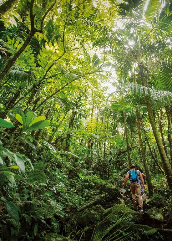 Choosing your Caribbean Cruise Adventure | AMA Travel