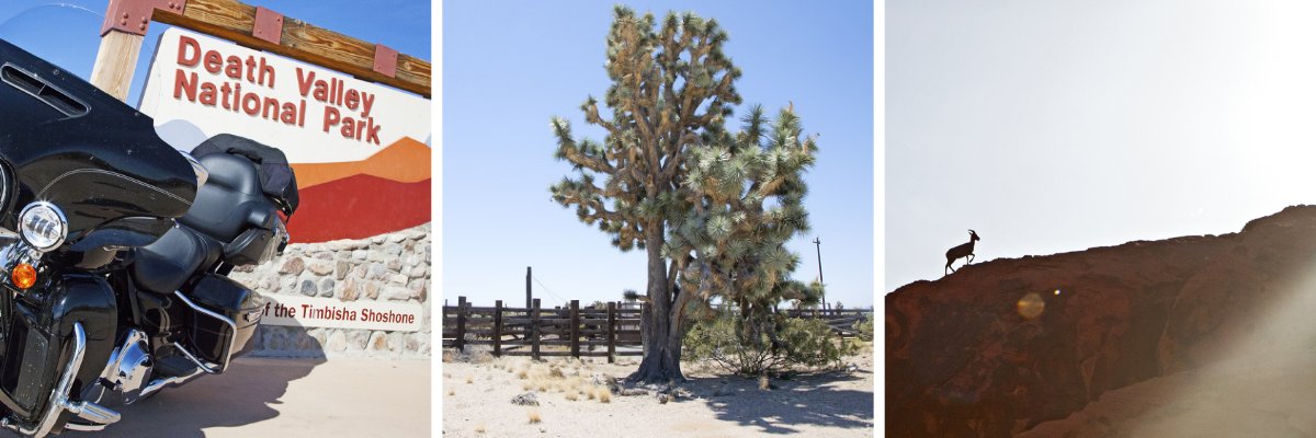 Road-Tripping Nevada’s Great Basin Highway and Death Valley Rally | AMA ...