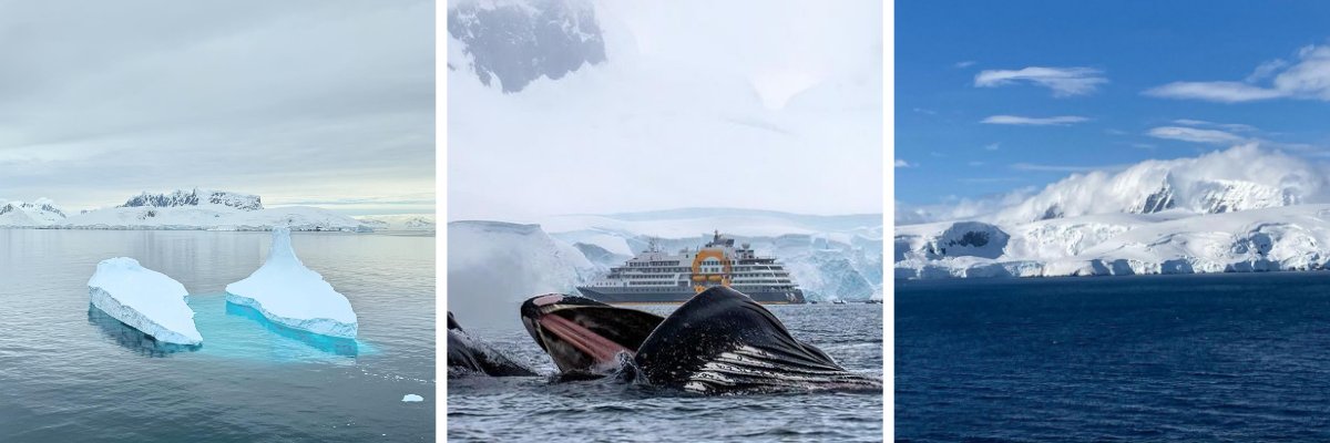 Your Complete Guide to Cruising Antarctica | AMA Travel