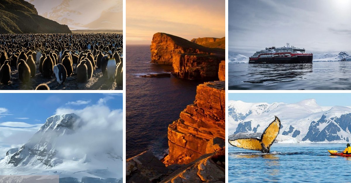 Your Complete Guide to Cruising Antarctica | AMA Travel