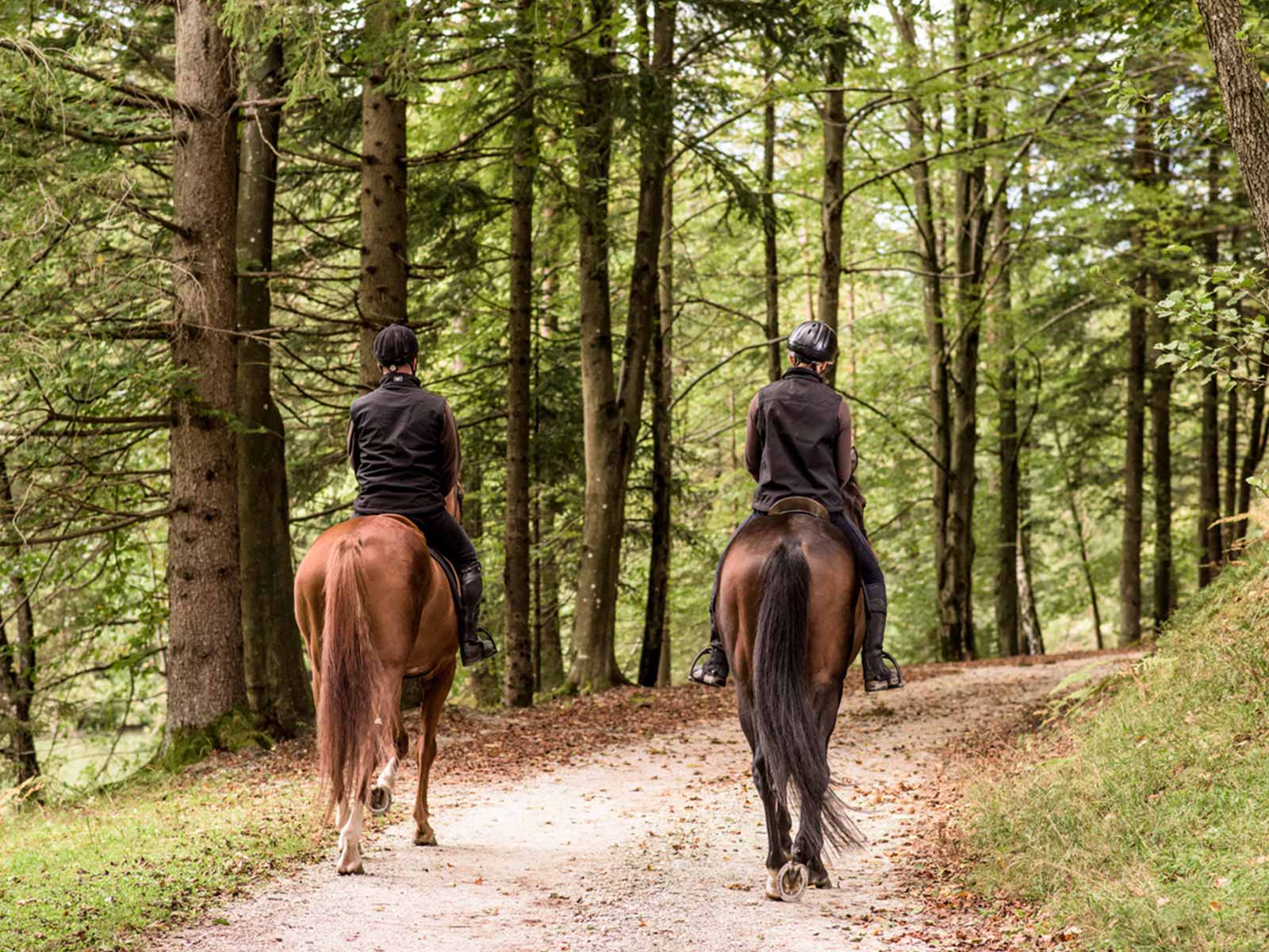 Riding the Iron Horse Trail | AMA Travel