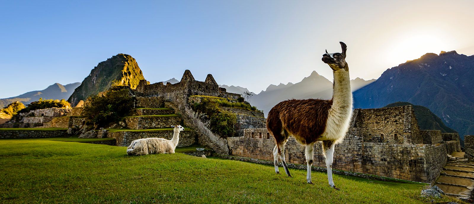 Machu Picchu and the Inca Trail | AMA Travel
