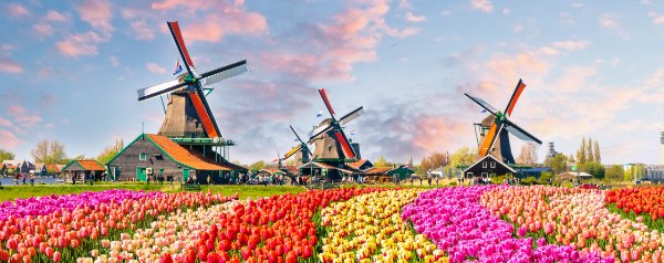 A Beginner’s Guide to Travelling the Netherlands | AMA Travel