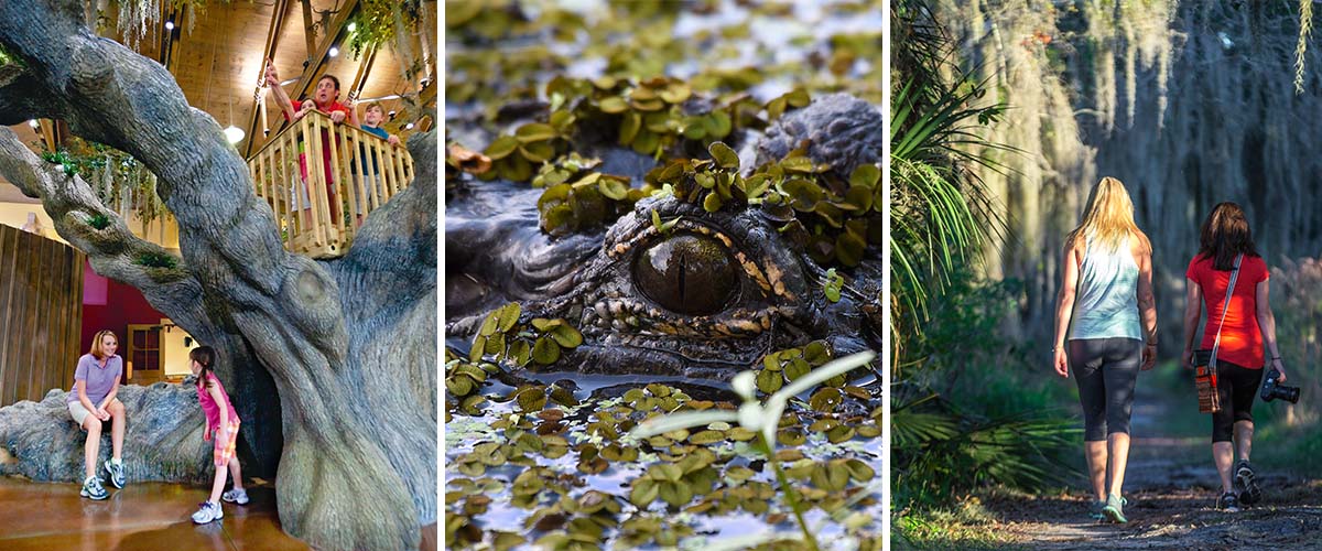 Discover Adventure: Outdoor Activities in Central Florida | AMA Travel