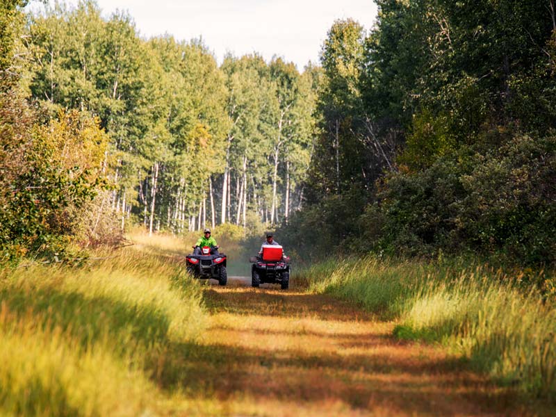 Riding the Iron Horse Trail | AMA Travel
