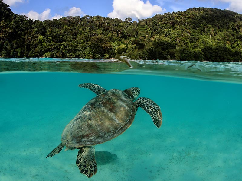 Thailand has 1430 Islands. Which Ones Should You Visit | AMA Travel