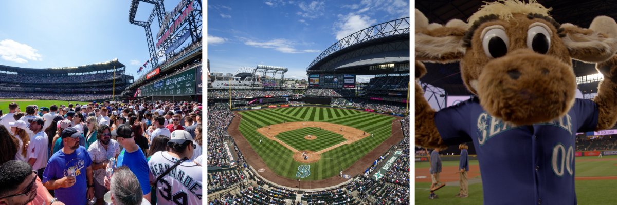 The Top Teams and Stadiums to See in Seattle | AMA Travel