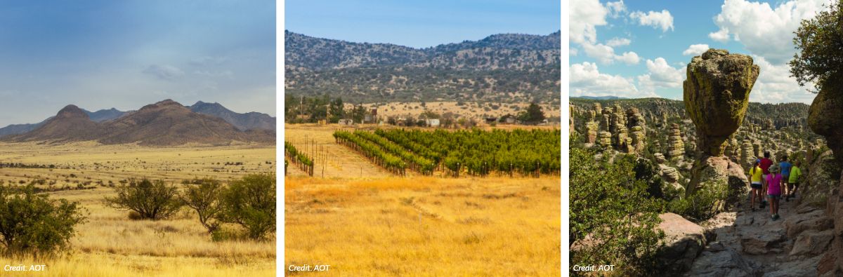 The Top Five Highlights of Southern Arizona | AMA Travel
