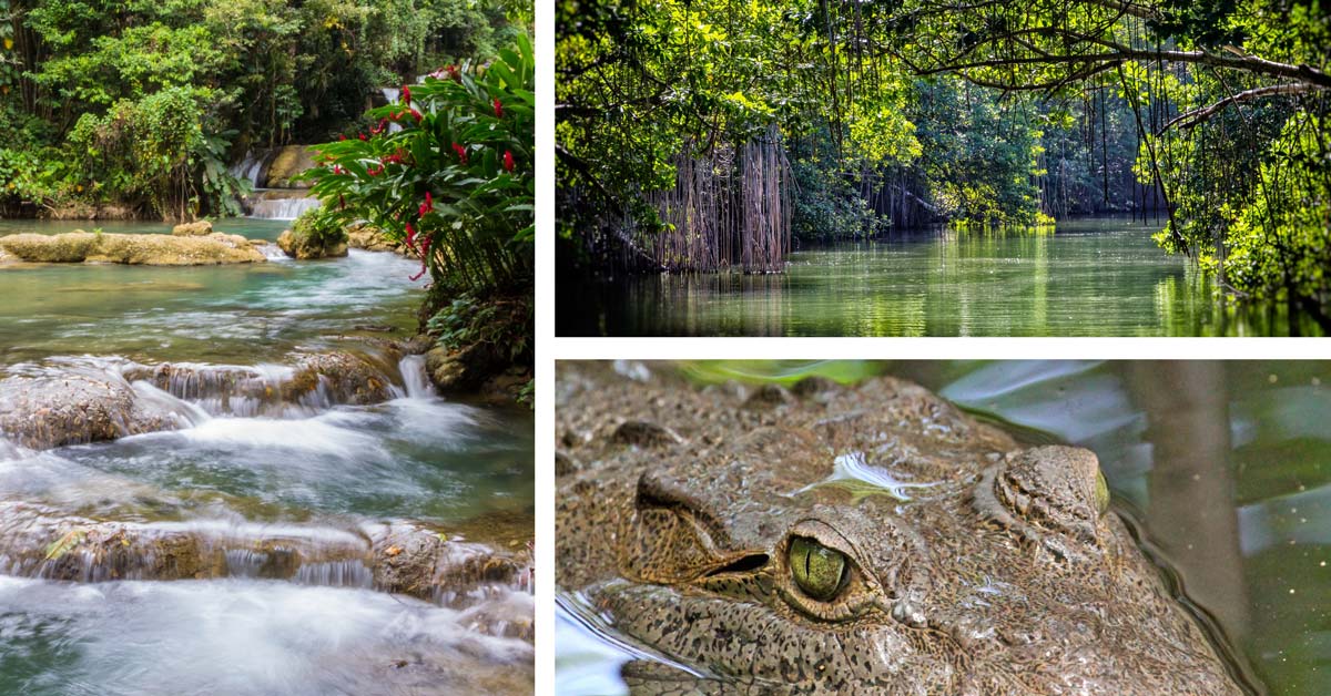 Jamaica’s 5 Most Beautiful Sites—Beyond Just Beaches! | AMA Travel