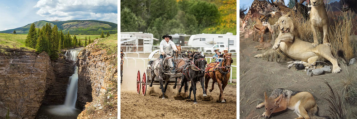 Saddle Up to Road Trip Across Alberta’s Classic Cowboy Trail | AMA Travel