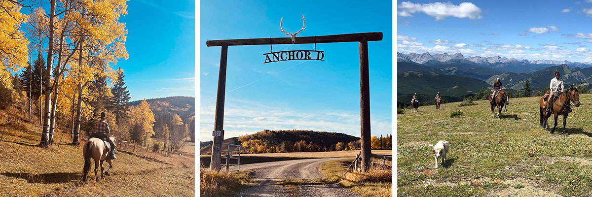 Saddle Up to Road Trip Across Alberta’s Classic Cowboy Trail | AMA Travel