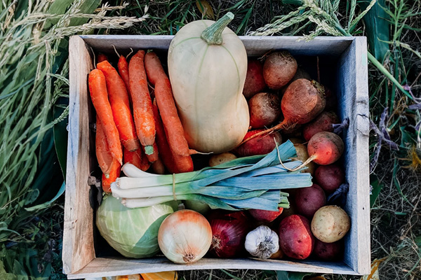 Farm & Food Experiences in Alberta Worth the Drive | AMA Travel