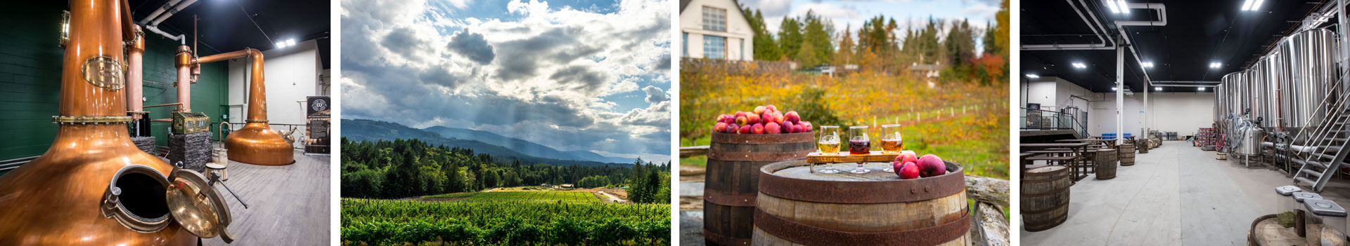 Victoria’s Best Wine, Cidery, and Distillery Tours | AMA Travel