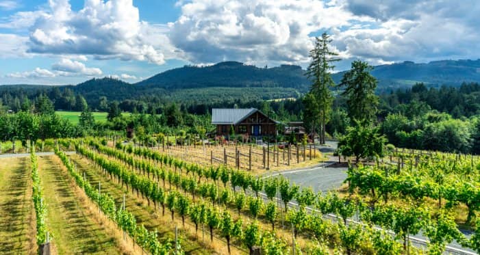 Plan Your Spring Vacation in Victoria, B.C. | AMA Travel