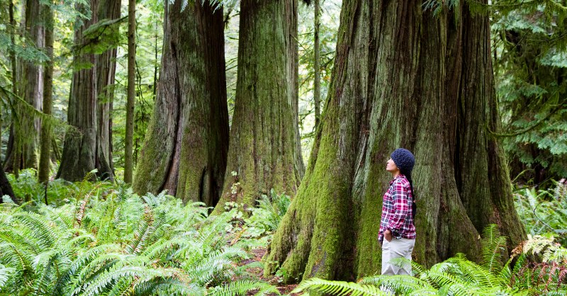 Build Your Own 3-Day Itinerary in Victoria | AMA Travel