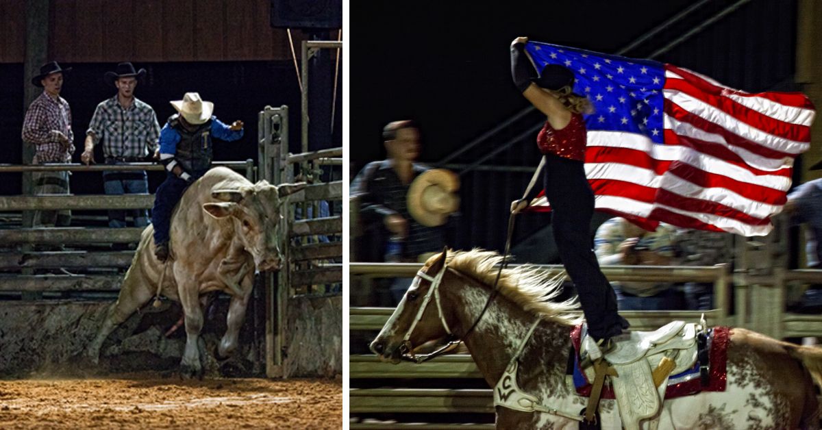 The Top 10, Do-Not-Miss-These Activities in Central Florida | AMA Travel