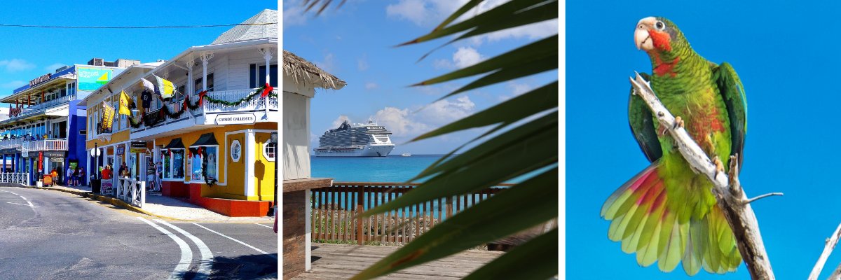 Your Complete Guide to Cruising the Western Caribbean | AMA Travel