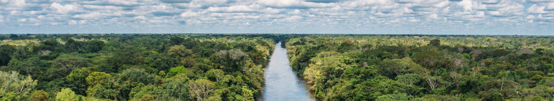 Reasons to Choose the Amazon for Your Next River Cruise | AMA Travel