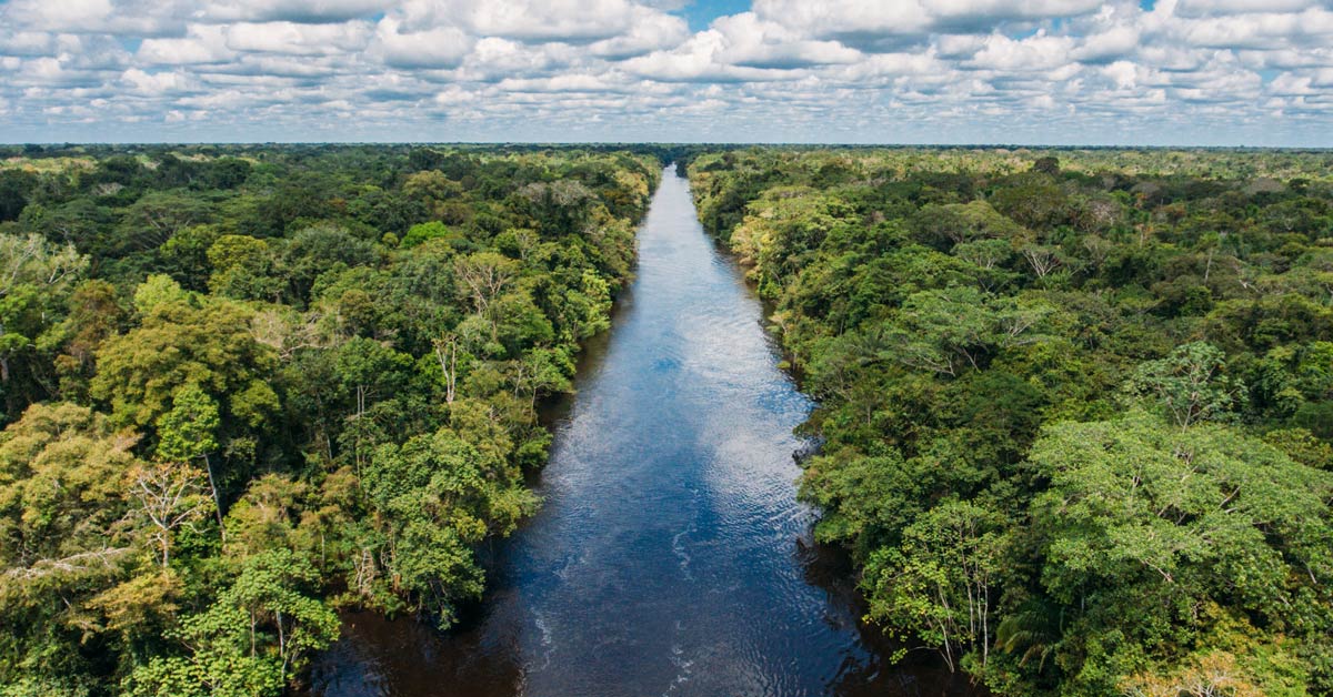 Reasons to Choose the Amazon for Your Next River Cruise | AMA Travel