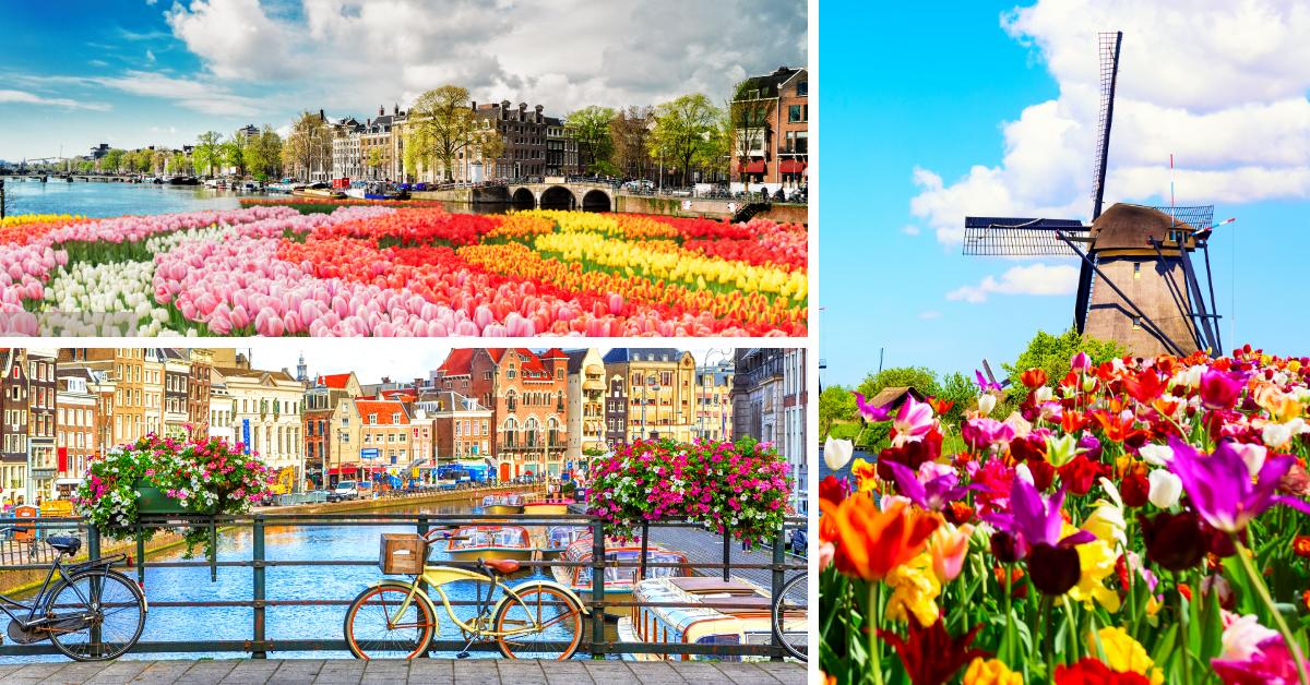Reasons to Choose the Rhine for Your Next River Cruise | AMA Travel