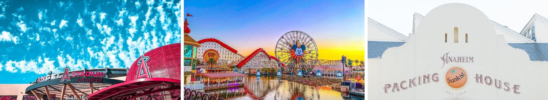 Stay & Save in Anaheim: Hotels Deals and More | AMA Travel