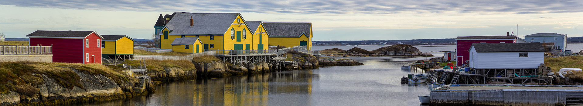Getting Screech’d In: A History of Kissing Cod in Newfoundland | AMA Travel