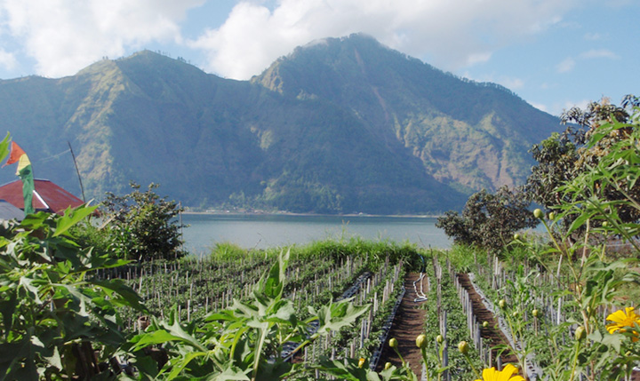 Asia Travel Packages, Destinations & Guided Tours | AMA Travel