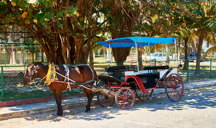 Varadero Cuba All Inclusive Vacations, Resorts & Beaches | AMA Travel