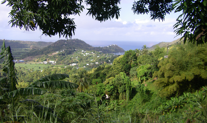 St Lucia Vacations All Inclusive Resorts, Flights & Things to do | AMA ...