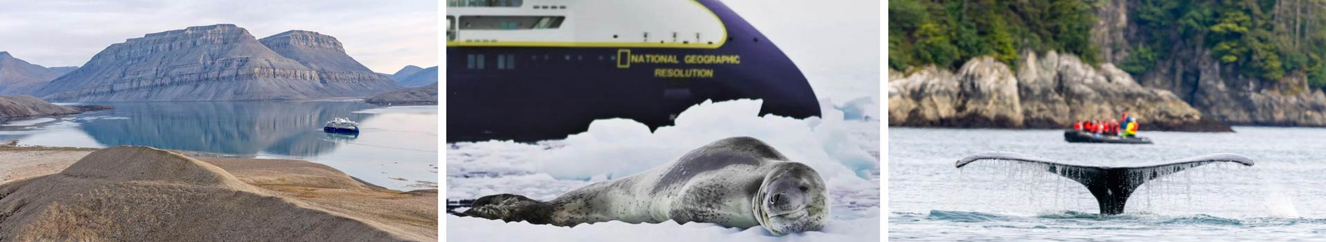 The Benefits of Lindblad Expedition Cruising | AMA Travel